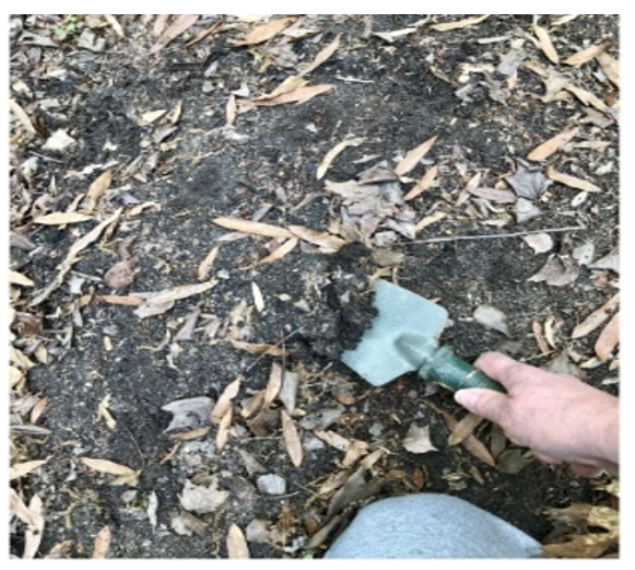 Nature of Soil Sampling – ism